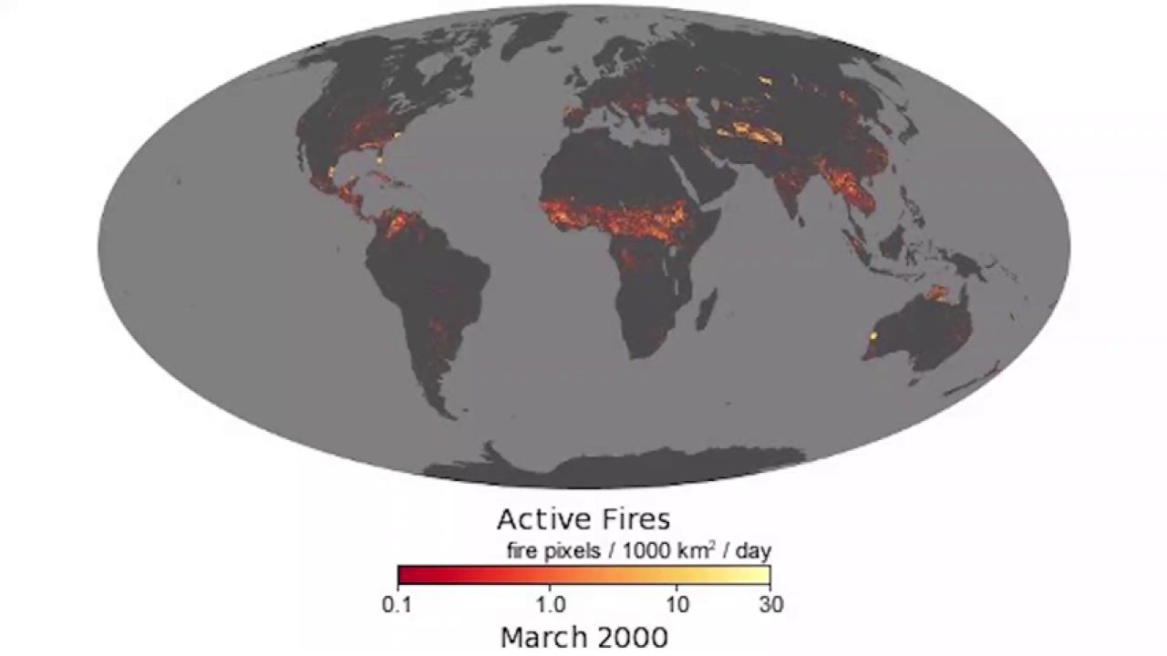 Mapa de los incendios mundiales | HAZTE ECO