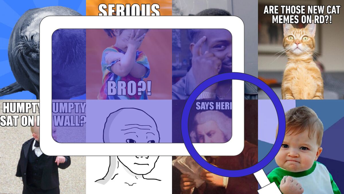 Que Que Memes 28 Memes De Perros Que Te Harán Derramar Lágrimas De