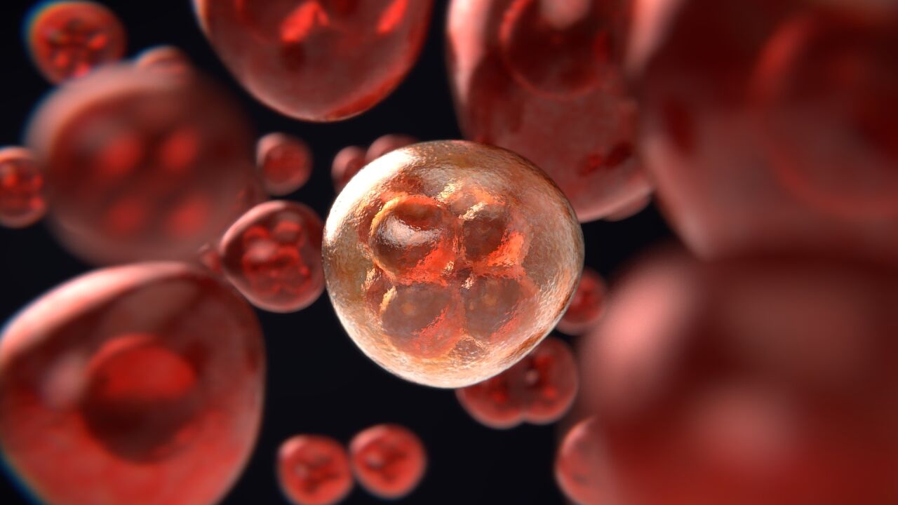 Un estudio demuestra por qué las células más diminutas y mutadas son ...