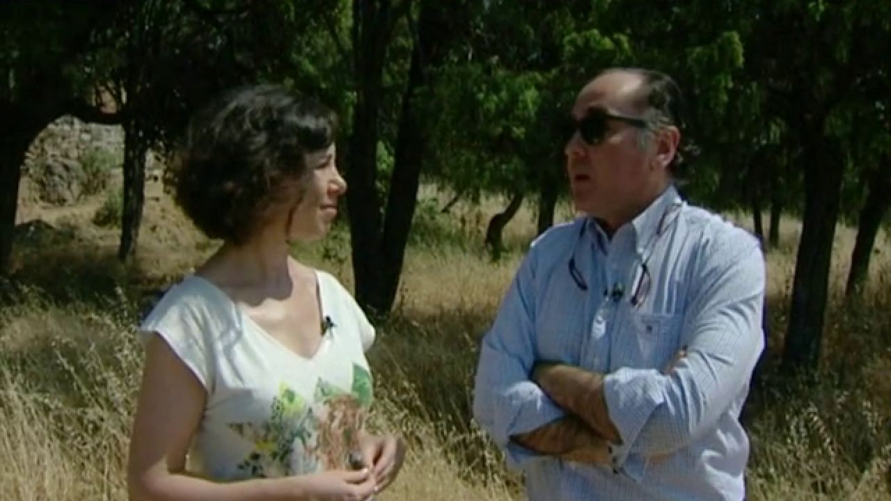 Es fundamental mantener limpios los bosques para evitar los incendios ...