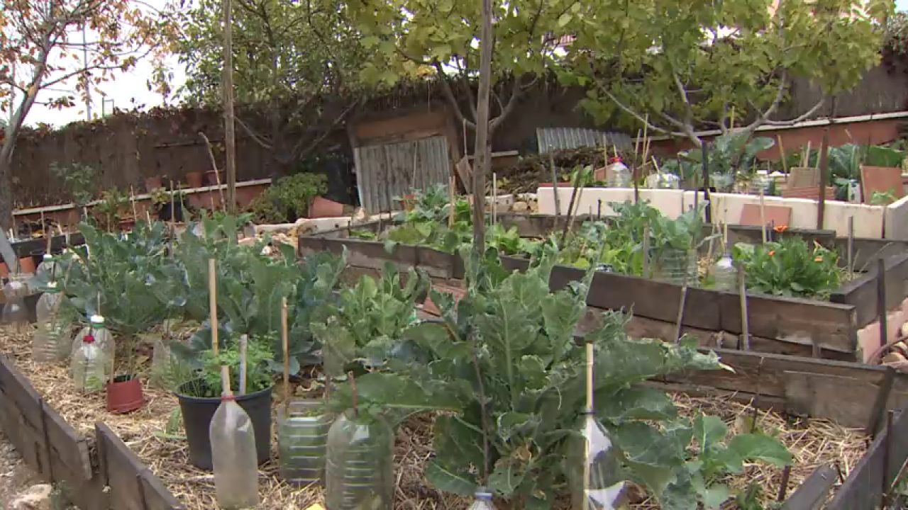 Vivir en una ecoaldea, una forma de vida que contribuye a la protección ...