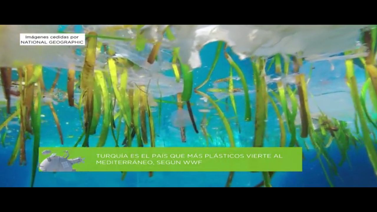 El Mediterráneo, uno de los mares más contaminados del mundo | HAZTE ECO